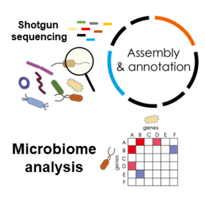 K-BDS데이터활용 지원포털시스템